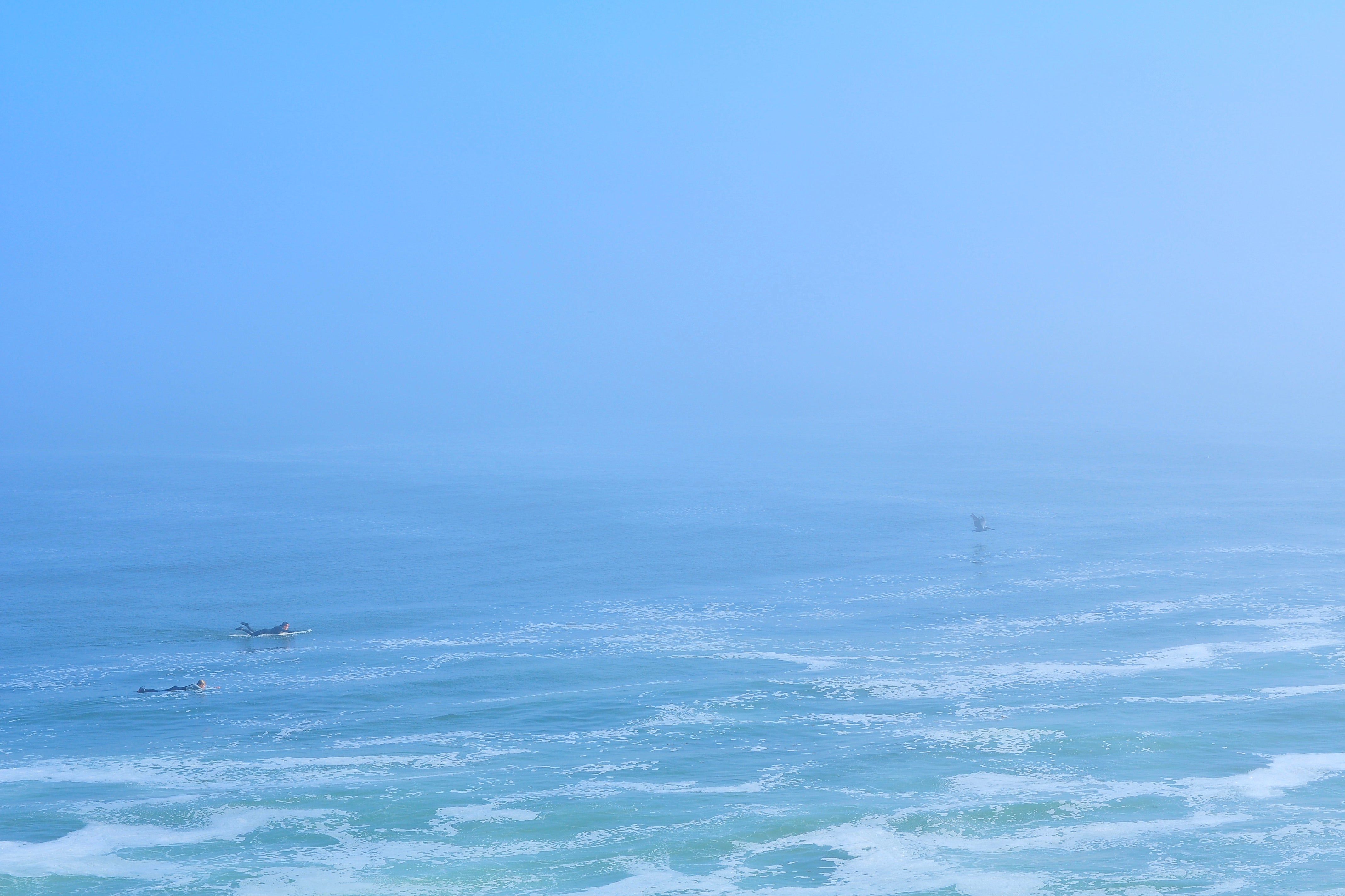 m ō m e n t s d i s c o v e r e d – m u j ō